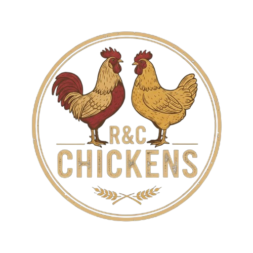 R&C Chickens - Premium Road Runner Chickens at All Stages Delivered to ...
