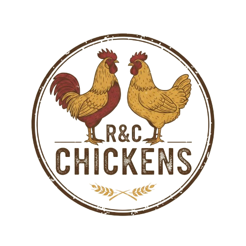 R&C Chickens - Premium Road Runner Chickens at All Stages Delivered to ...